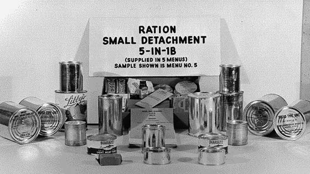 Skyrim Mods - rations plus pc