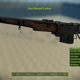 Skyrim Mods - Debug Range For The Manwell Rifle